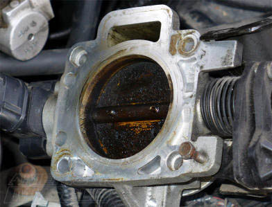 1999-2004 Mustang Catch Can Uses & Explanations | AmericanMuscle